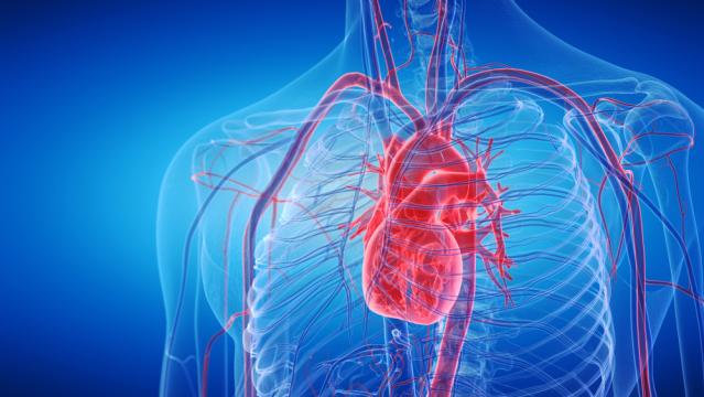 Д-р Валери Гелев: Приложихме първите коронарни литотрипсии със звукови ...